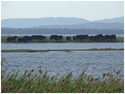 Marine World Heritage - iSimangaliso Wetland Park