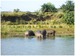 Marine World Heritage - iSimangaliso Wetland Park