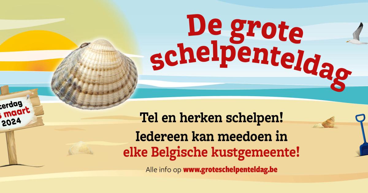 Draag je schelpje bij aan de Grote Schelpenteldag 2024
