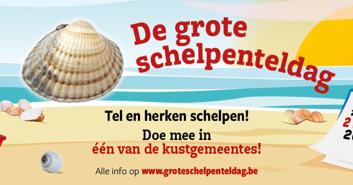 De Grote Schelpenteldag 2026 – Meer dan schelpen tellen!