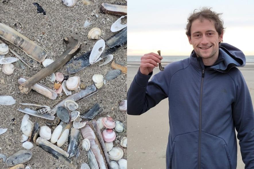 Reuzenalk: de pinguïn van het noorden herontdekt